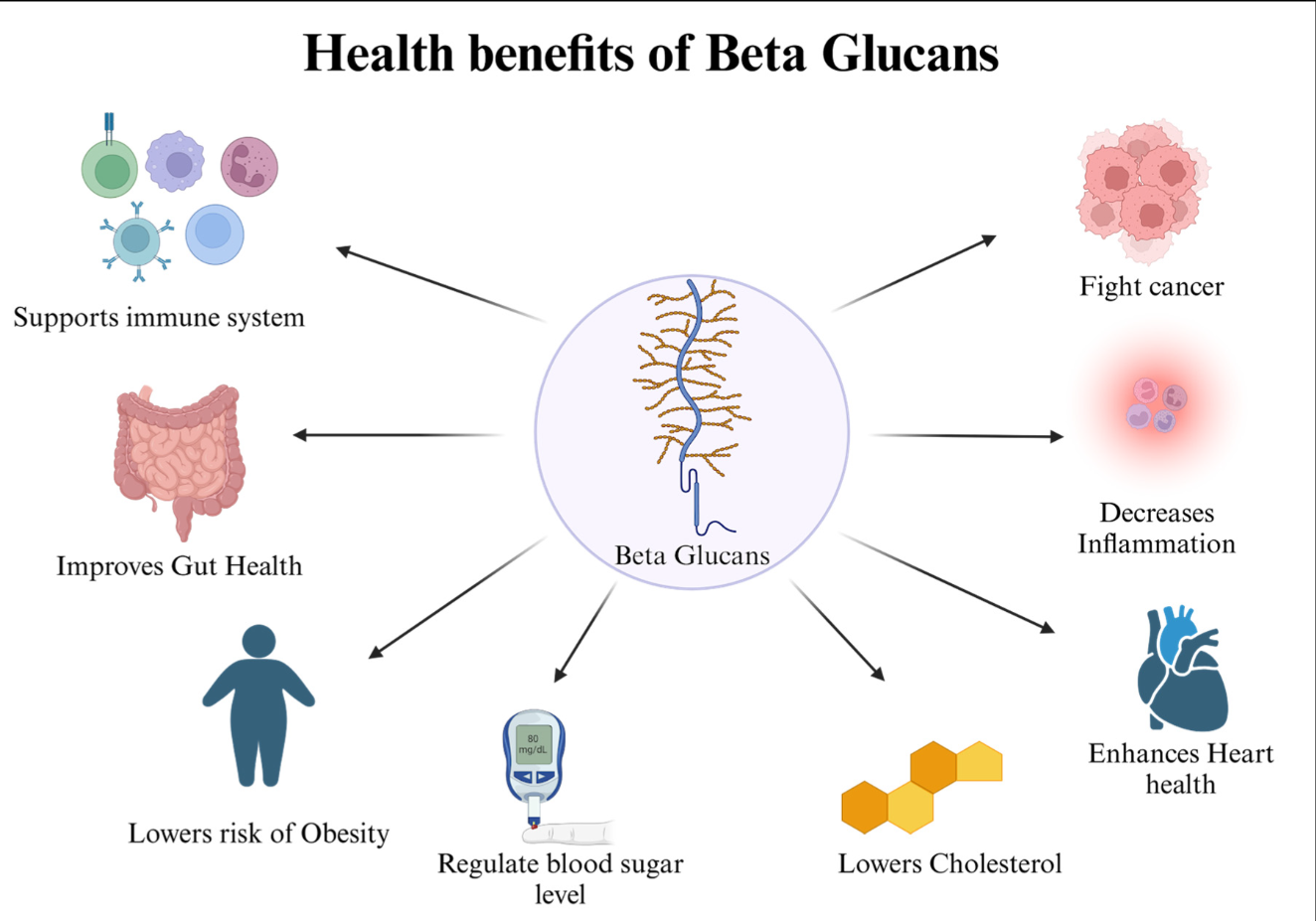 The Ultimate Guide to Beta Glucans: Everything You Need to Know About ...